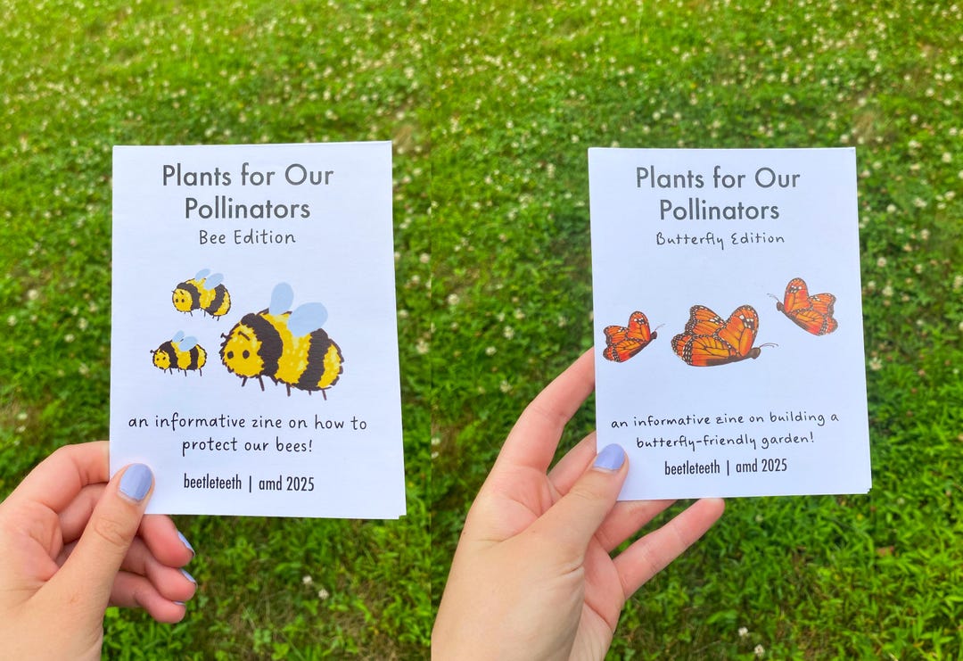 Plants for Our Pollinators: Bees and Butterflies Zines (individual ...
