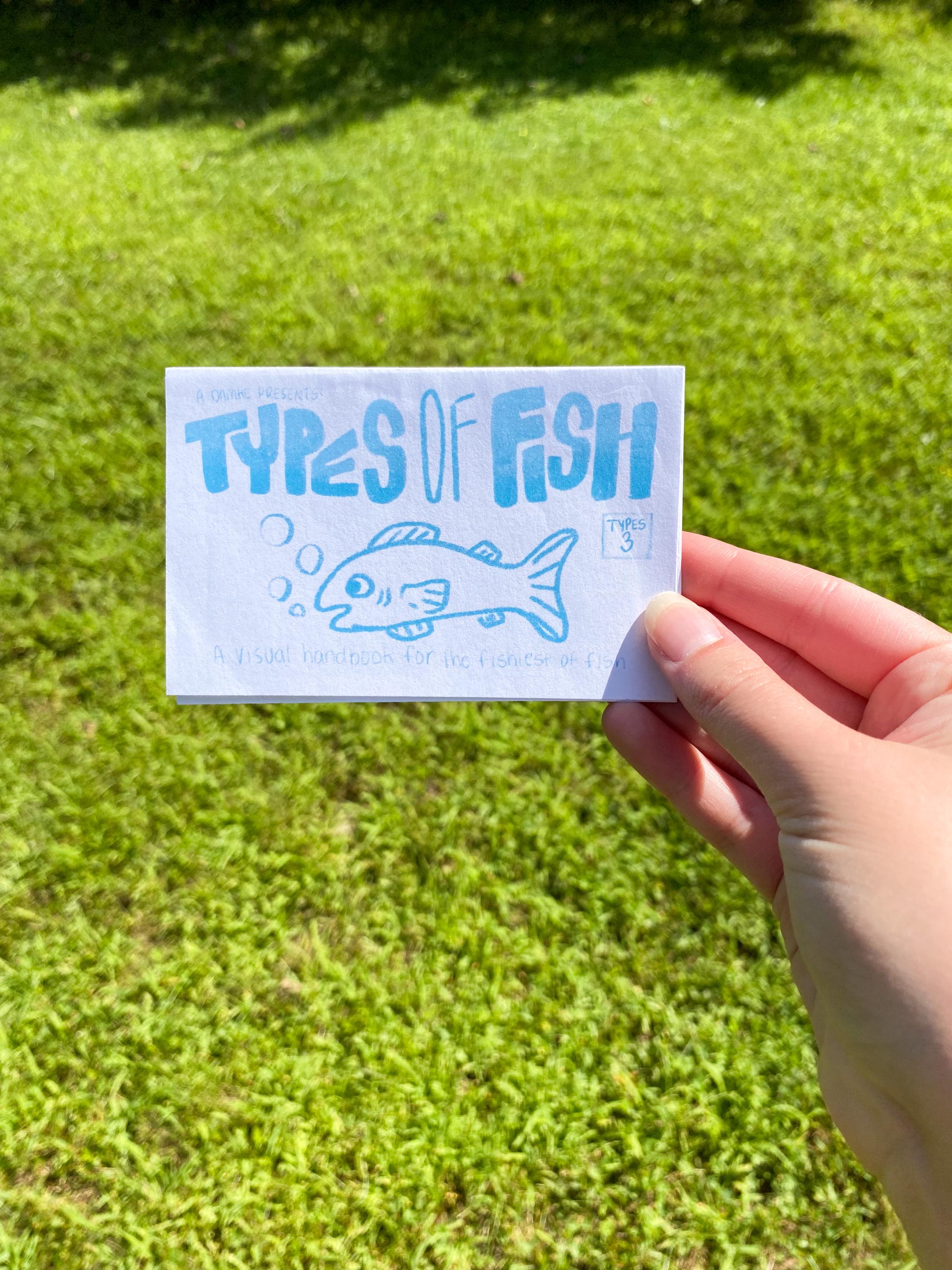 TYPES OF Zines - Three Mini Series (individual & Bundle) | Egg, Fish ...