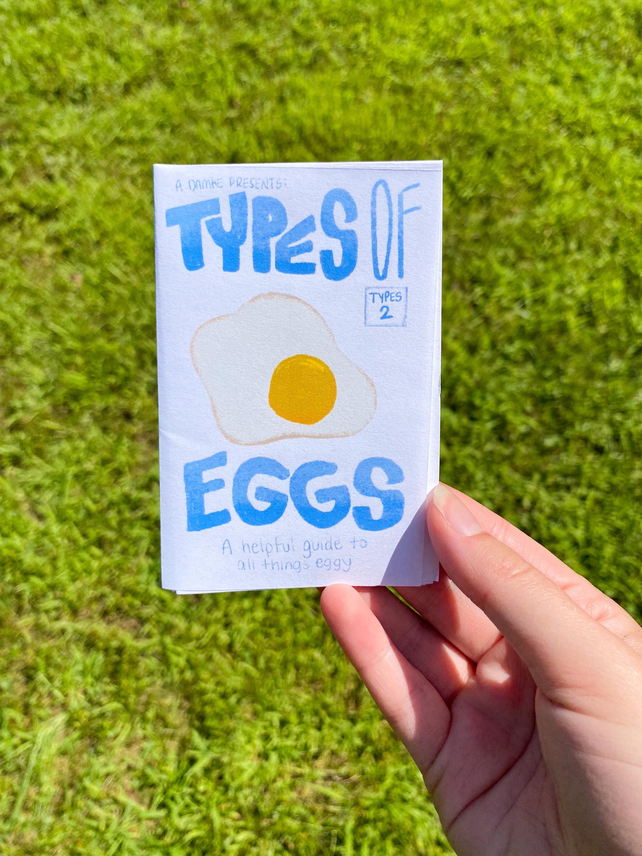 TYPES OF Zines - Three Mini Series (individual & Bundle) | Egg, Fish ...