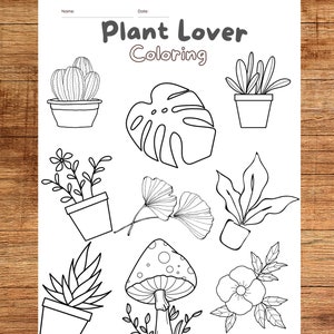 Plant Coloring Page Adult Coloring Pages Digital Download - Etsy