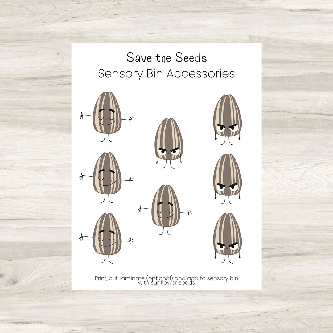 The Bad Seed Inspired Book Based Activity Printables, Ready to Print ...