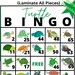 Bingo Game With Pics of Turtles, Bingo Turtle Game for Children and ...
