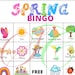 Spring Bingo Game, Animal Bingo Game, Baby Animal Bingo, Animal Bingo ...