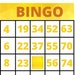 Bingo With Numbers, 30 Color Bingo Cards, Instantly Play Bingo, Large ...