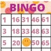 BINGO Game Bundle, Play BINGO Instantly, Large BINGO Cards, Print and ...
