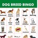 Childrens Bingo Game With Breeds of Dogs, Animal Bingo for Kids ...