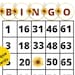 Sunflower Bingo Cards, Sunflower Bingo Game 3, Bingo Game Bundle to ...