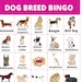 Dog Breed Bingo, Animal Bingo for Kids - Etsy