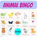 Bingo Game Bundle to Play, Bingo Game to Instantly Download, Bingo Game ...