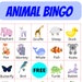 Zoo Bingo Game, Bingo Game With Animals to Instantly Download Print and ...