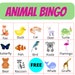 Animal Bingo for Classroom, School Event Classroom Bingo Game ...