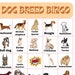 Childrens Bingo Game With Breeds of Dogs, Animal Bingo for Kids ...