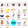 Animal Bingo for Classroom, School Event Classroom Bingo Game ...
