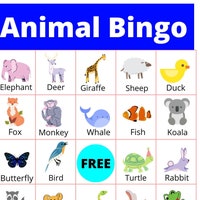 Pet Bingo Cards, Wild Bingo Fun, Jungle Bingo Set, Forest Bingo Fun ...