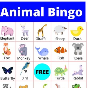 Pet Bingo Cards, Wild Bingo Fun, Jungle Bingo Set, Forest Bingo Fun ...
