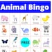 Emoji Face Bingo, Printable Bingo Game With Large Cards,print and Play ...