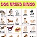 Dog Breed Bingo, Animal Bingo for Kids, Animal Bingo Game for Children ...