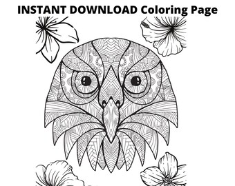 Owl Face Coloring - Etsy