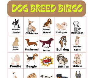 Kitty Cat Printable Bingo Games Kitty Cat Activity Bingo for - Etsy