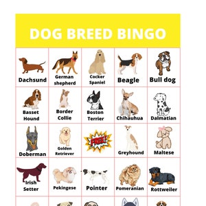 Dog Breed Bingo, Animal Bingo for Kids - Etsy