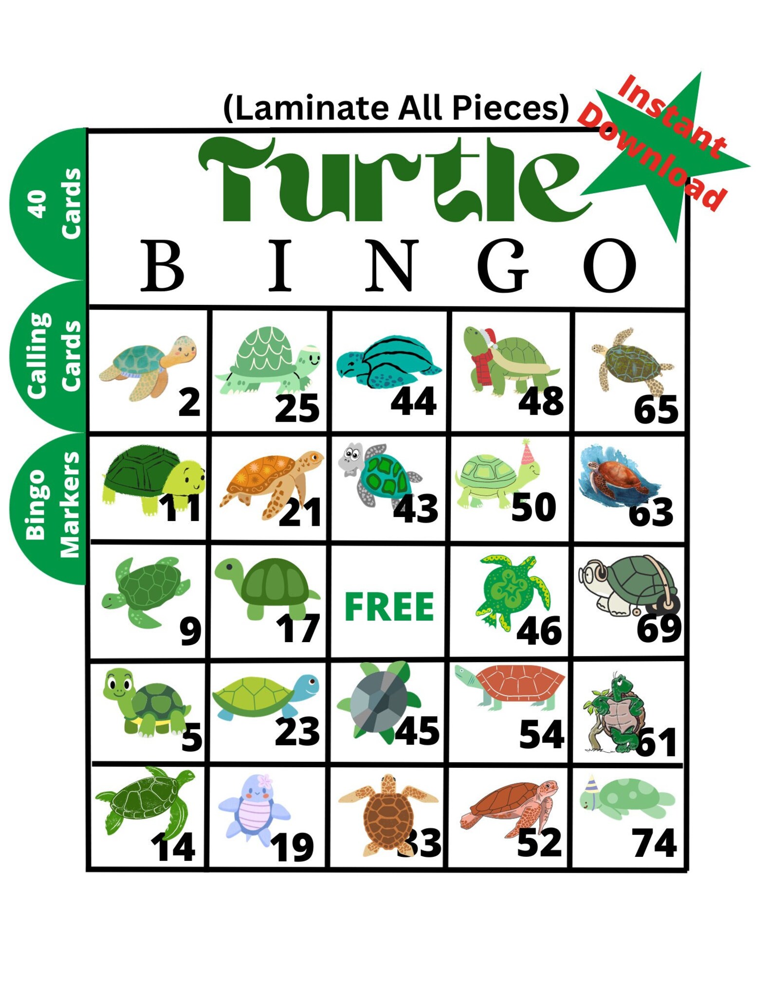 Bingo Game With Pics of Turtles, Bingo Turtle Game for Children and ...