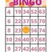BINGO Game Bundle, Play BINGO Instantly, Large BINGO Cards, Print and ...