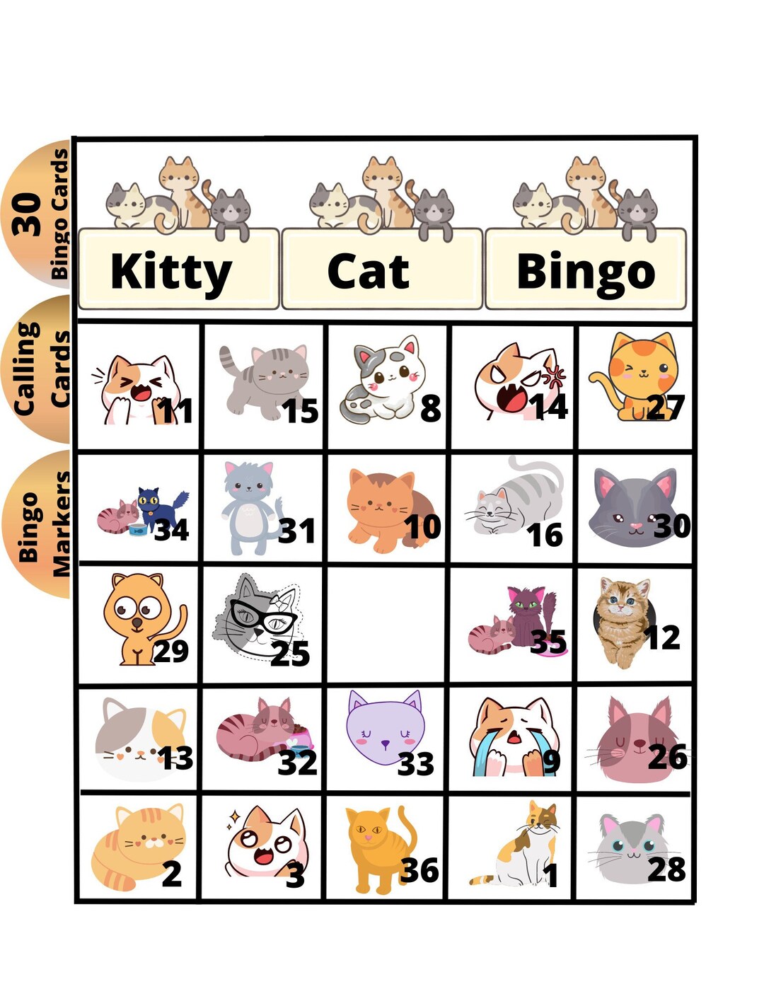 Pet Bingo Cards, Wild Bingo Fun, Jungle Bingo Set, Forest Bingo Fun ...