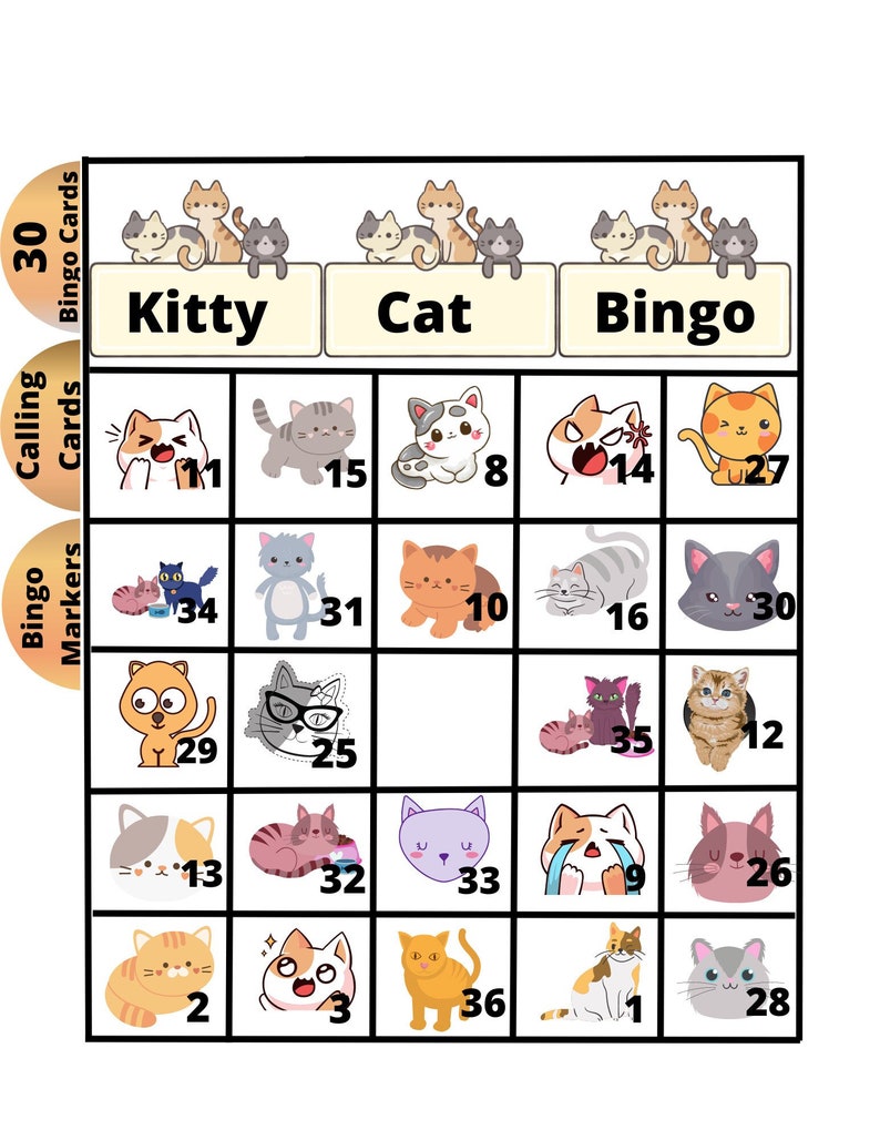 Pet Bingo Cards, Wild Bingo Fun, Jungle Bingo Set, Forest Bingo Fun ...