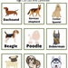 Childrens Bingo Game With Breeds of Dogs, Animal Bingo for Kids ...