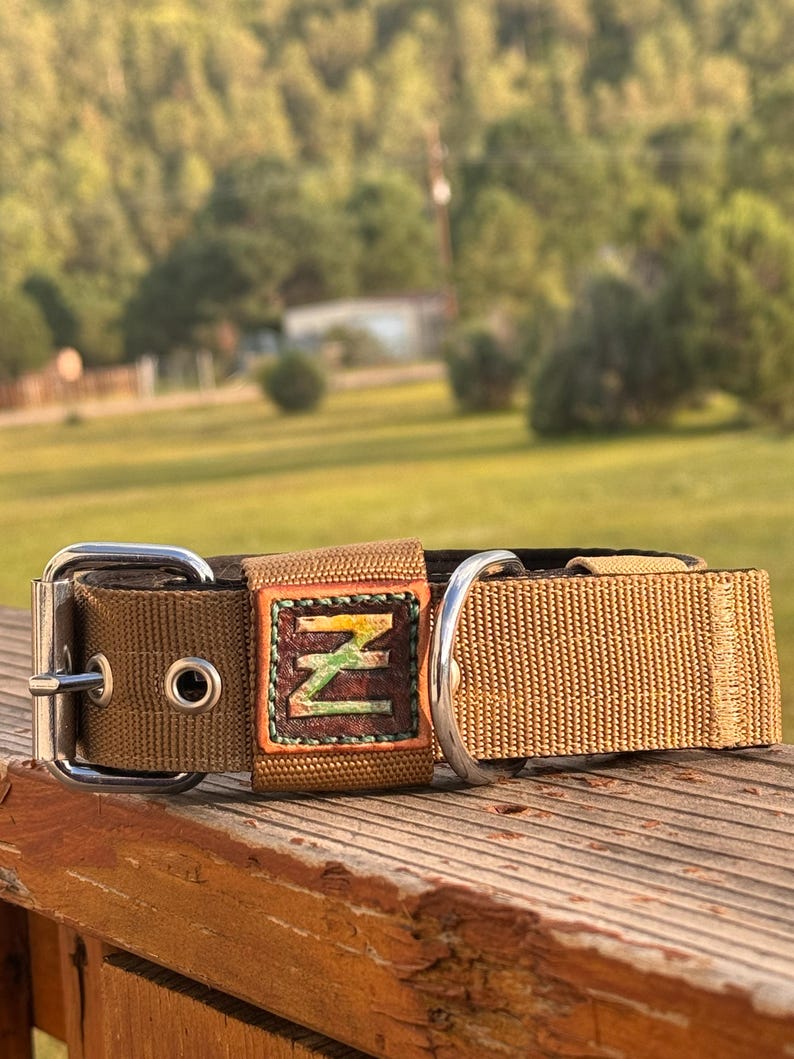MADE TO ORDER Custom Leather Tooled Dog Collars - Etsy
