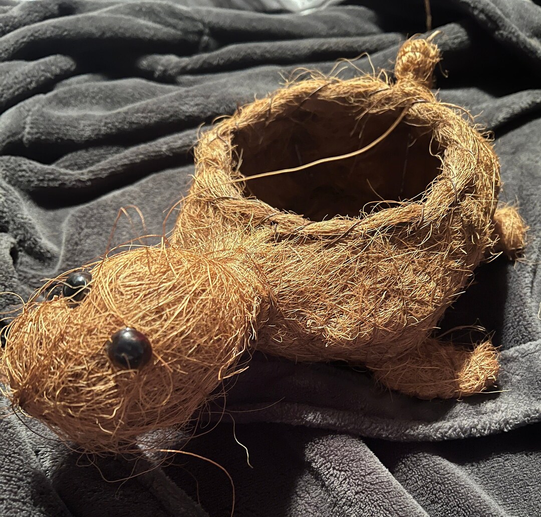 Coir Turtle Pot Holder - Etsy