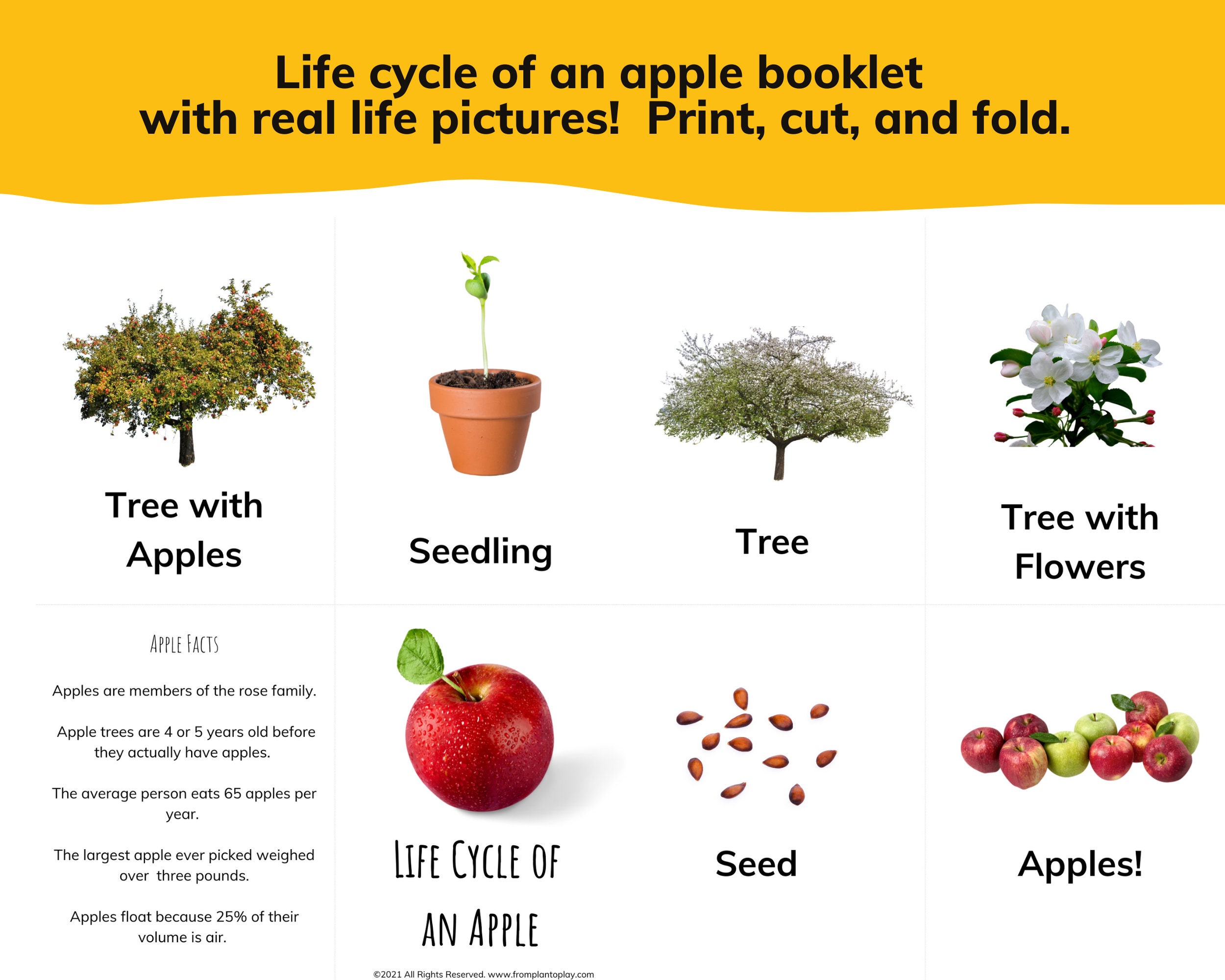 Letter of the Week, Letter A, Preschool Activity Printables, Letter ...