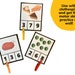 Thanksgiving Count and Clip Cards, Montessori Math, Preschool Counting ...