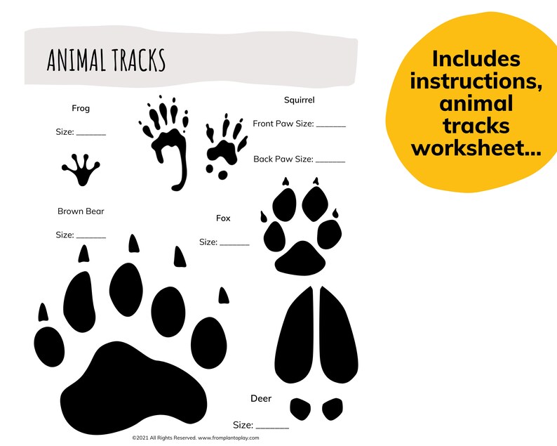 Measure Animal Tracks Activity for Preschool and Kindergarten ...