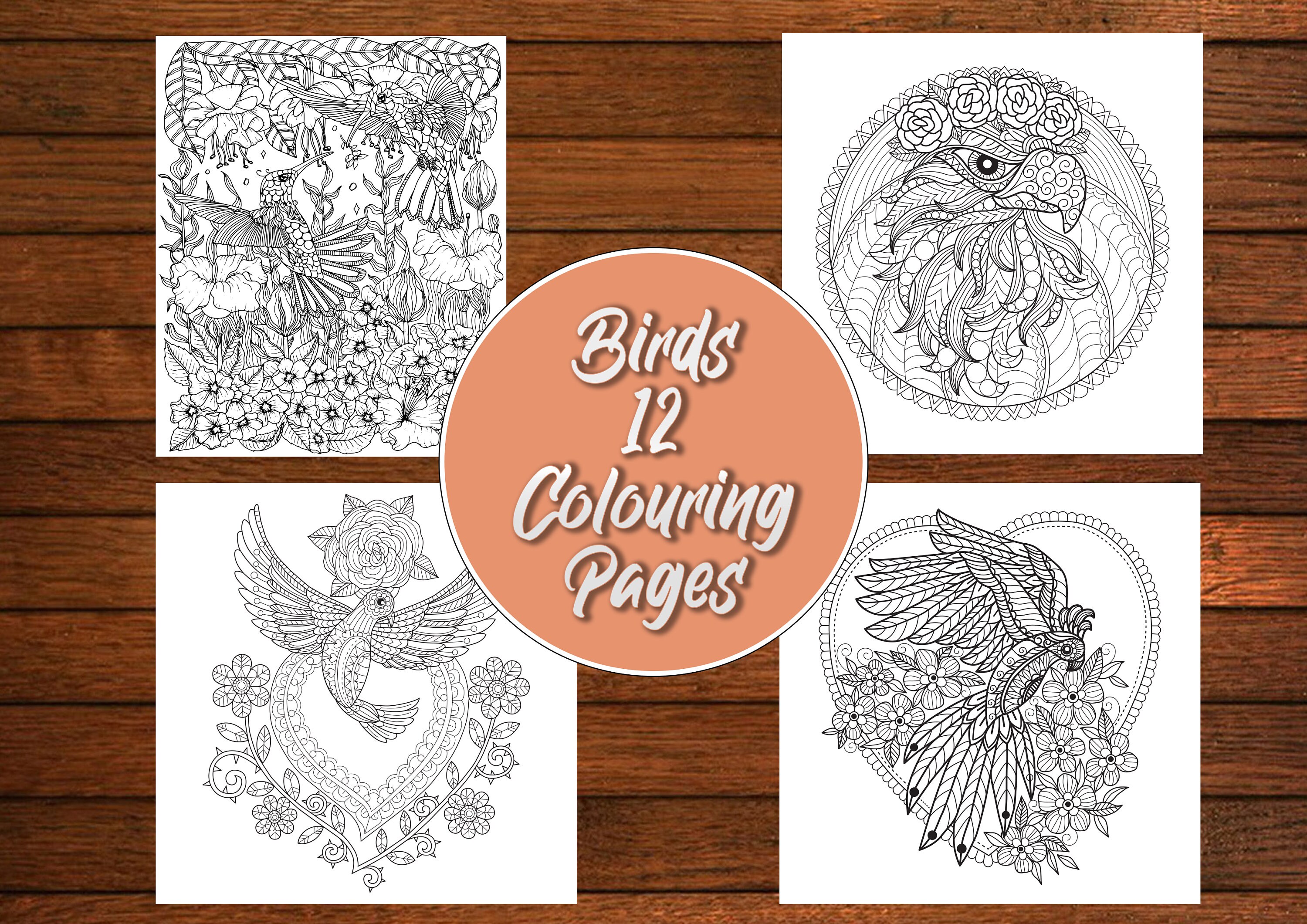 12 Birds Colouring Pages PRINTABLE Teacher Printables - Etsy UK