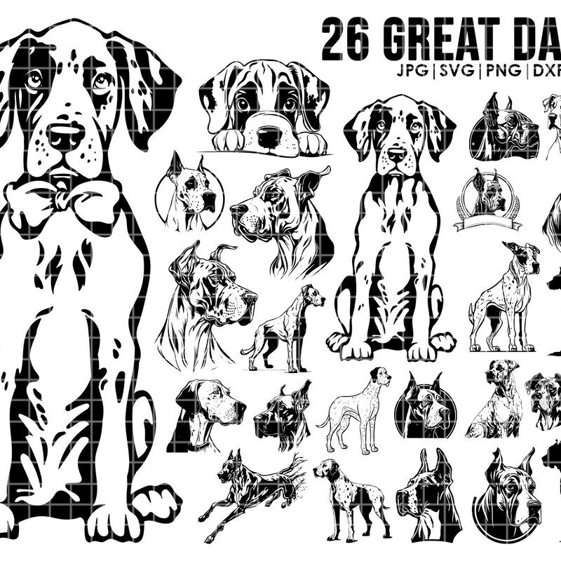 Great Dane Svg - Etsy