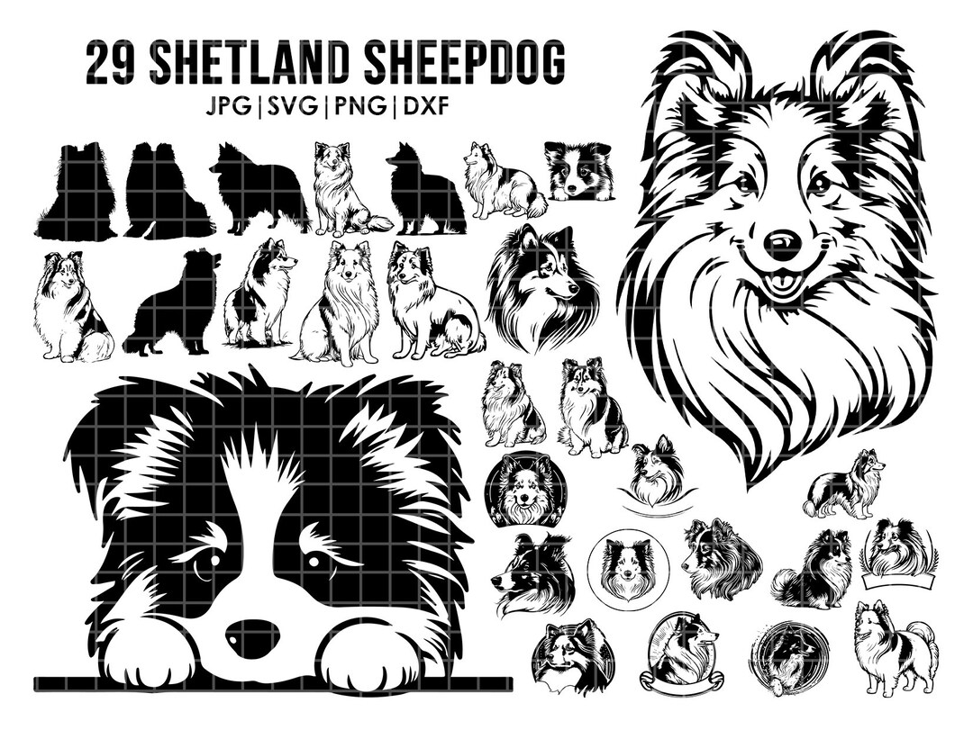 29 Shetland Sheepdog Dog Svg Bundle| Svg, Cricut| Peeking Dog Clipart ...