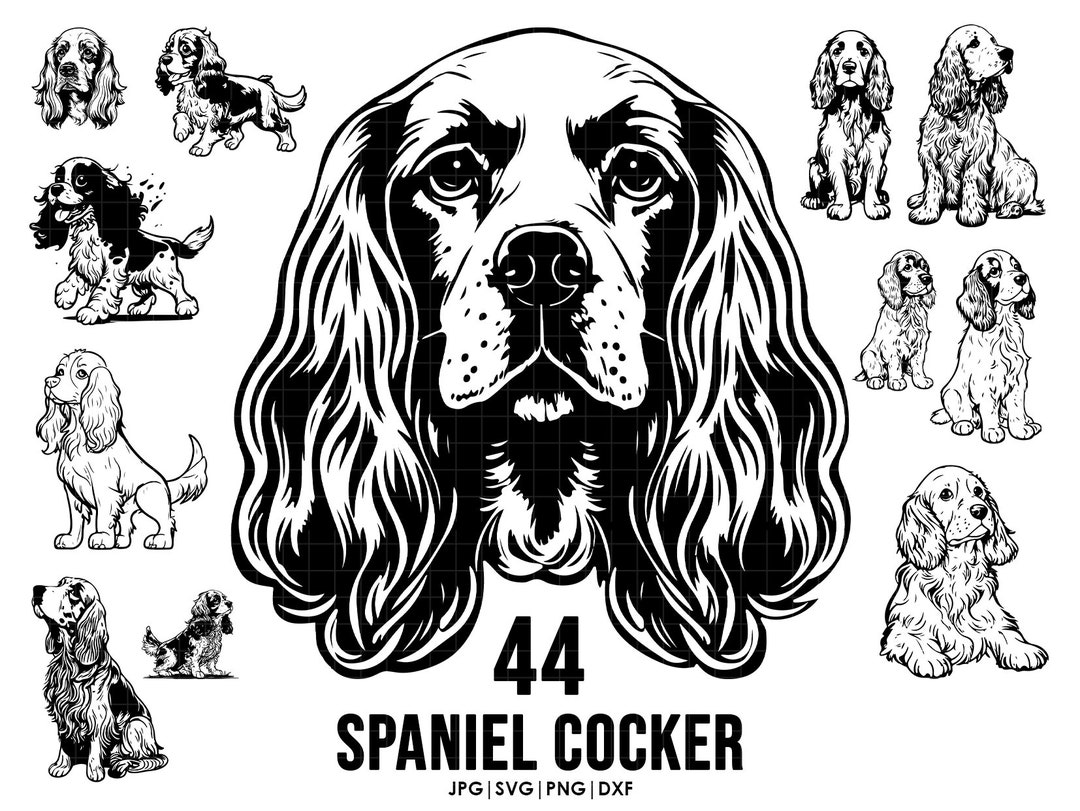 44 Spaniel Cocker Dog Svg Bundle| Svg, Cricut| Peeking Dog Clipart ...