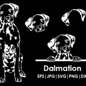 Dalmation Dog Head, Full Body, Peeking, Dog Ear, Files Cricut| Clipart ...