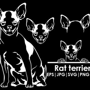 Rat Terrier Dog Head, Full Body, Peeking, Dog Ear, Files Cricut ...