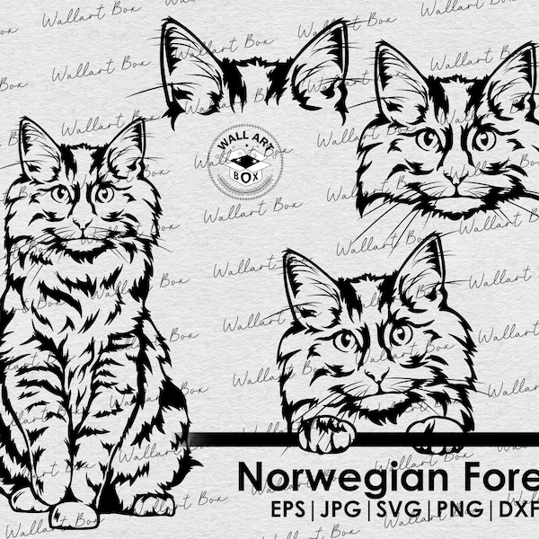 Norwegian Forest Cat Clipart - Etsy