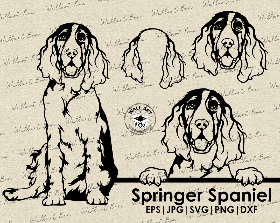 Springer Spaniel Svg Dog Full Body Peeking Head Ears Files for Cricut ...