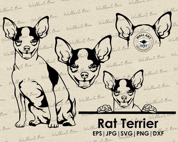 Rat Terrier Dog SVG Cricut Puppy Clipart Vector Image DXF - Etsy