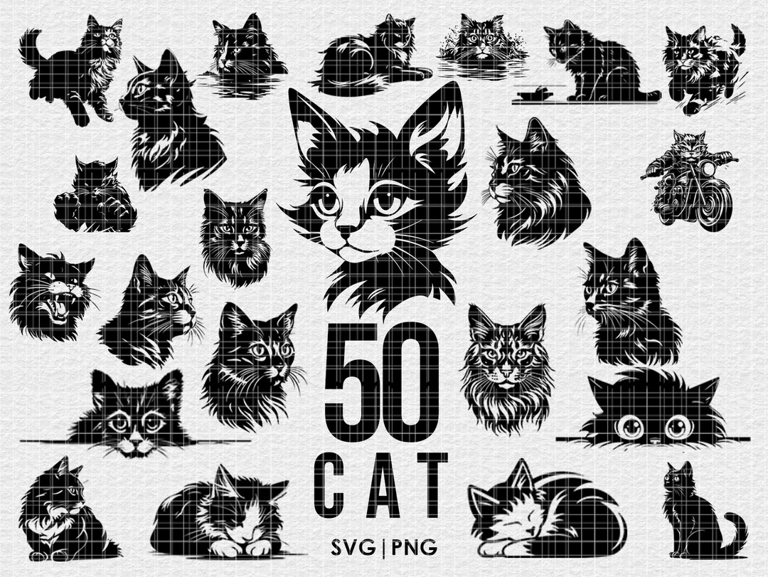 Cats Vector Illustration, Svg Png Bundle, Digital Download, for Cricut ...