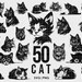 Cats Vector Illustration, Svg Png Bundle, Digital Download, for Cricut ...