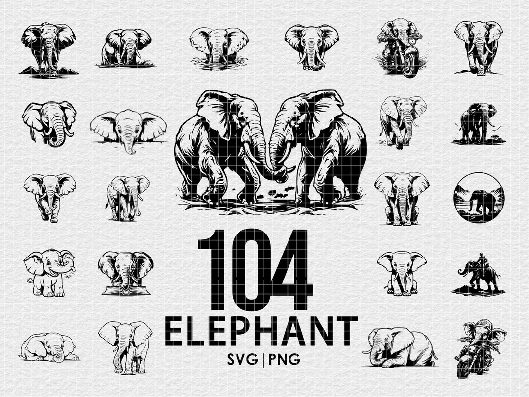Elephant Vector Illustration Bundle, Svg Png Bundle, Digital Download ...