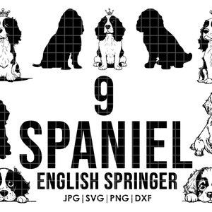 9 English springer Spaniels Dog Svg Bundle | Cricut | Peeking Dog ...