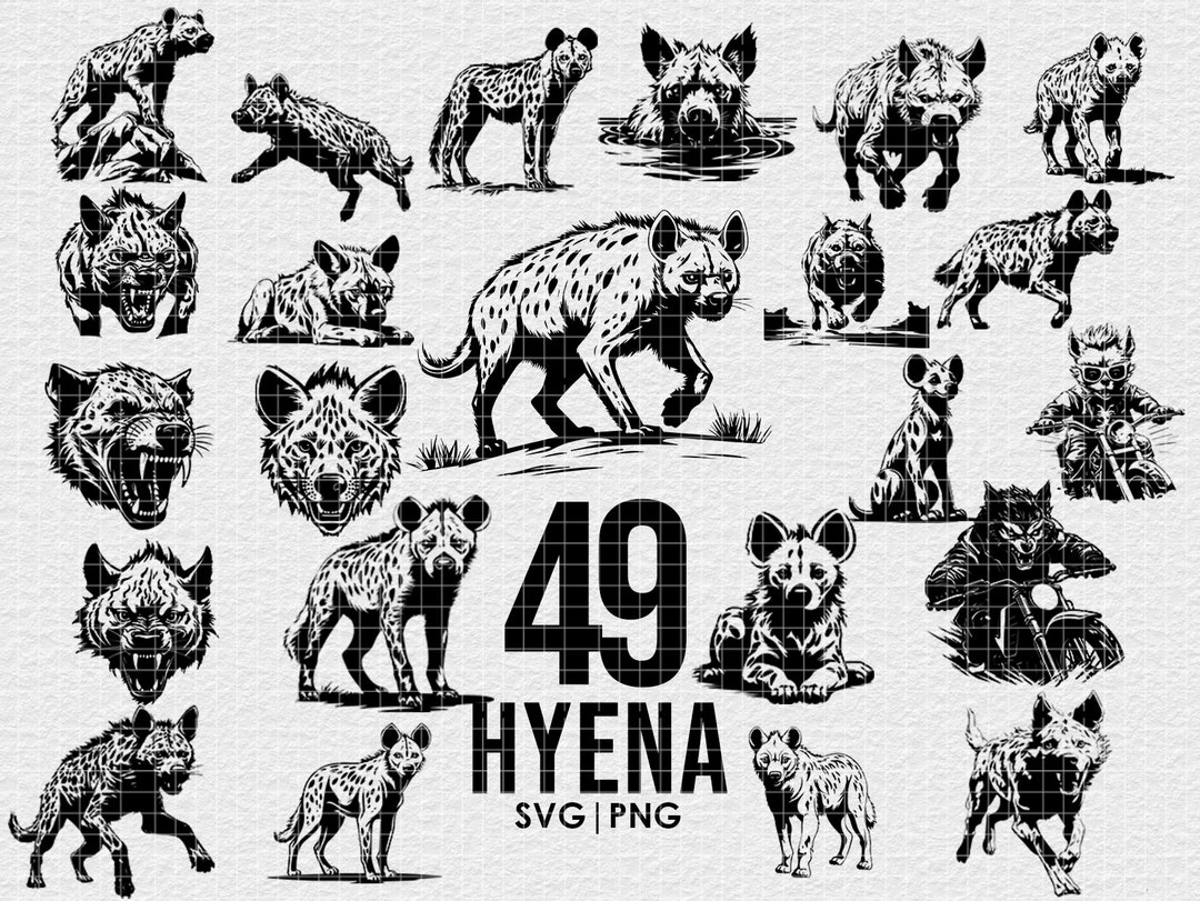 Hyena Vector Illustration Bundle, Svg Png Bundle, Digital Download, for ...