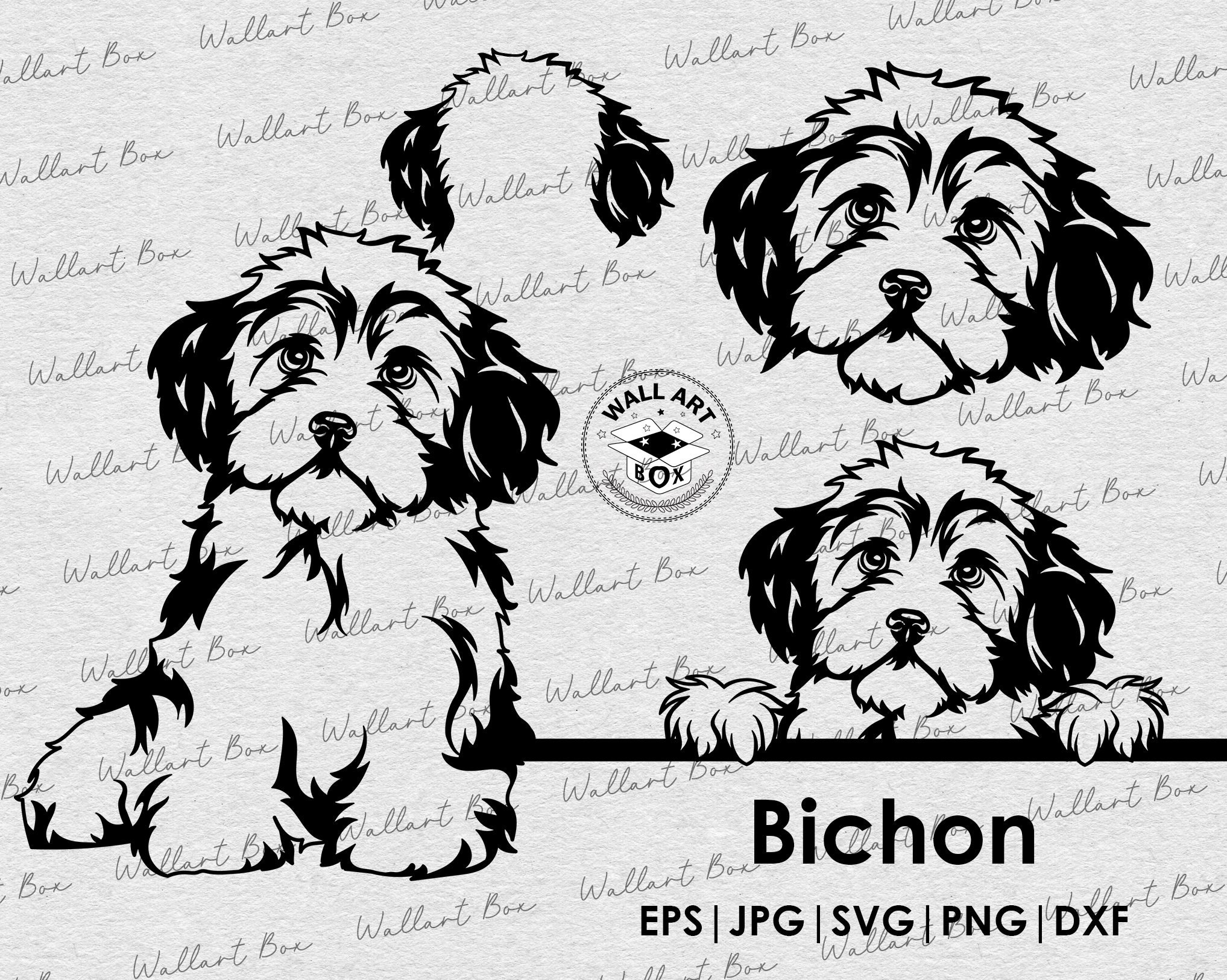 Bichon Frise Svg Cut File Dog Peeking for Cricut Bichon Full - Etsy