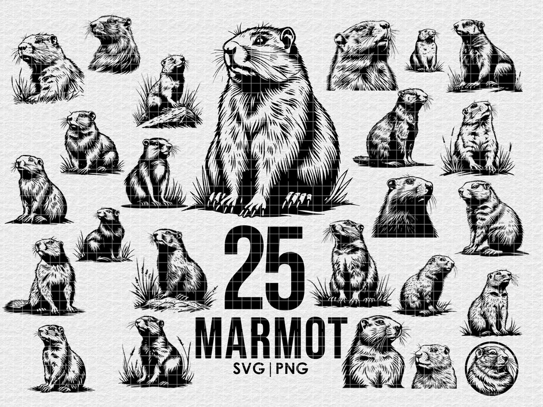 Marmot Vector Illustration Bundle, Svg Png Bundle, Digital Download ...